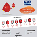 Importance of Haemoglobin and Food to increase Blood