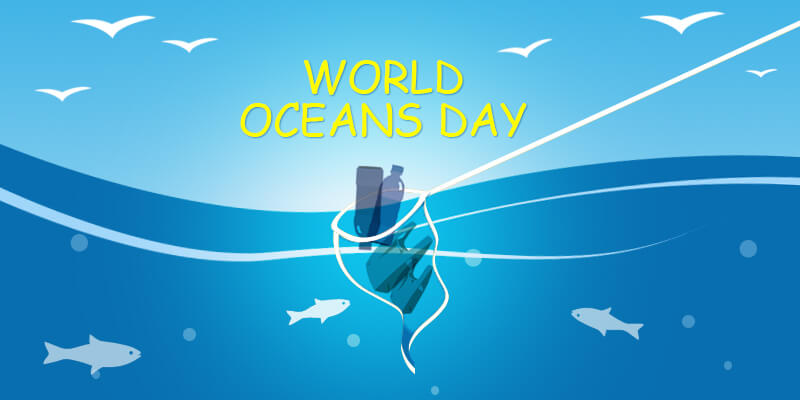 World Oceans Day: How Plastic Pollution Affects Health & Marine Life