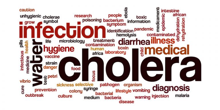 The Symptoms, Treatment and Prevention of Cholera